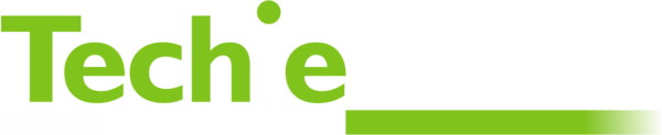 IT Staffing and Business Consulting Services | Techie Crew